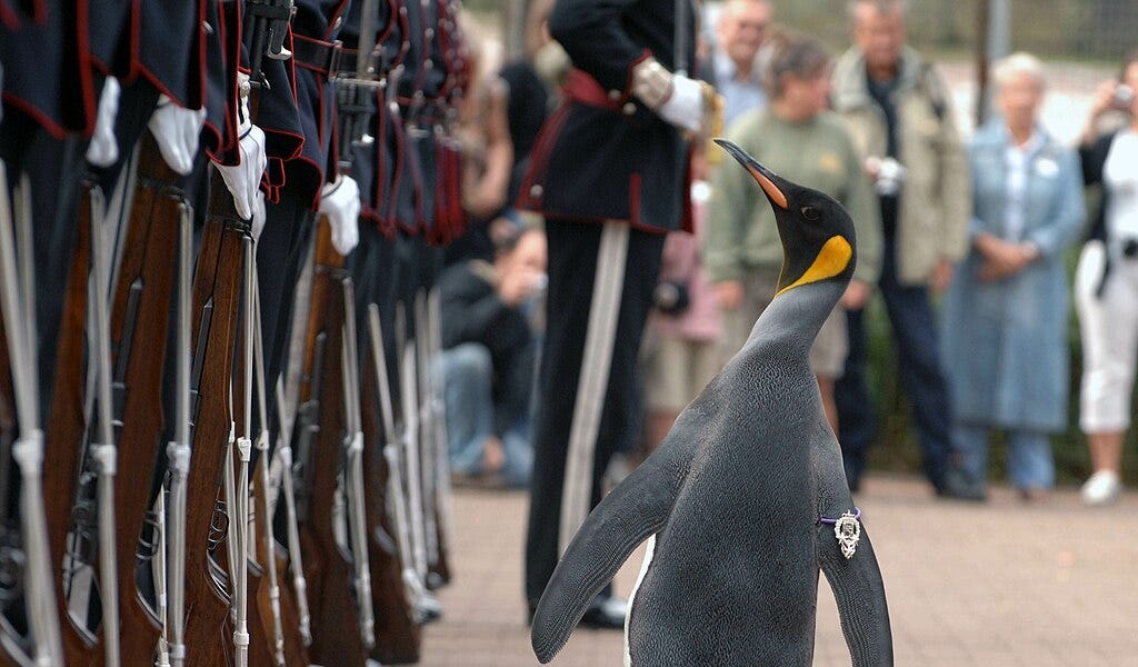 One-Minute Facts: The Scottish Penguin With a Knighthood
