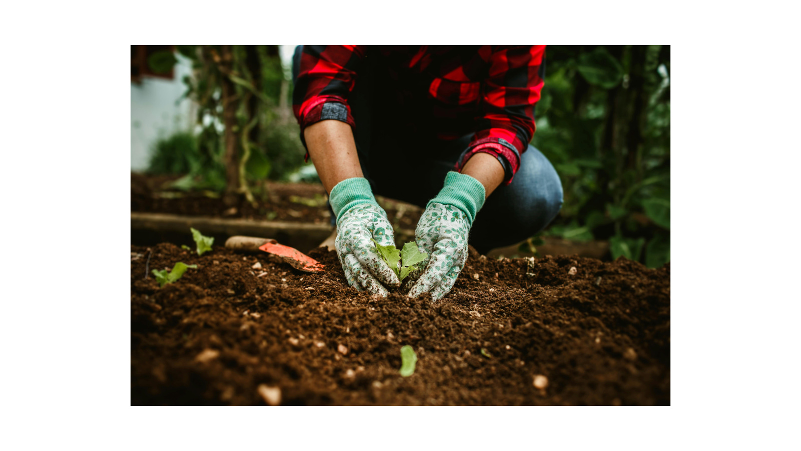 I Didn’t Grow Up With This Life — So Why Does It Feel Like Coming Home?