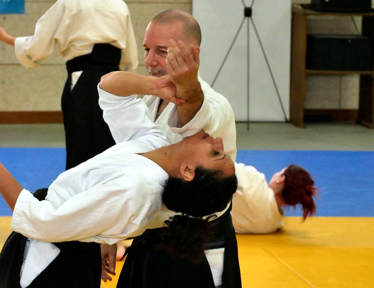 Riai in Aikido: One Week, One Principle - by Paolo Narciso