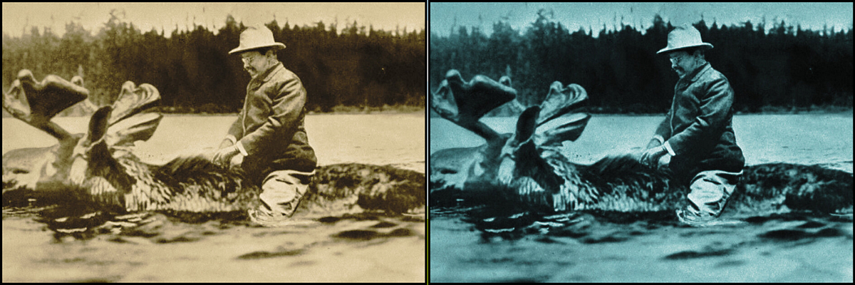 Amanda Nelson | Substack