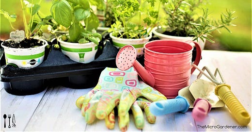 Healthy Food Gardening Made Easy | The Micro Gardener | Substack
