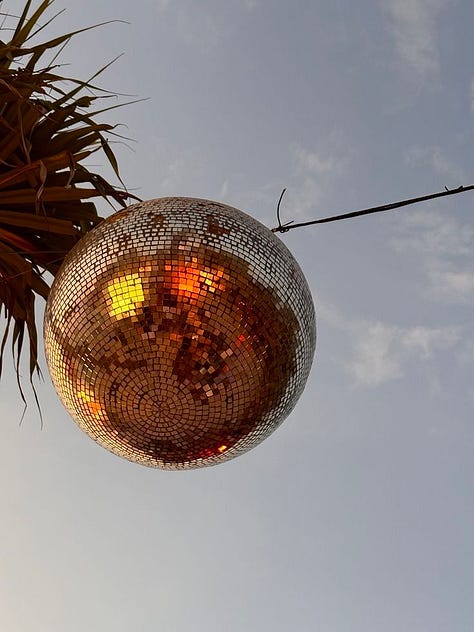 Why Did Everyone Stop Partying? - by Molly McAdam