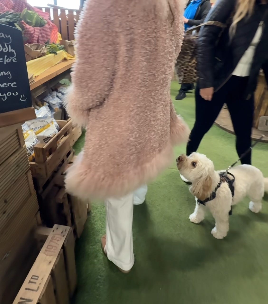 I visited Clarkson's Farm & Soho Farmhouse dressed as a sheep