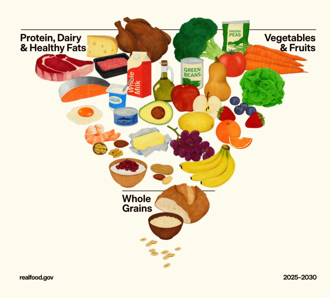 The food pyramid is back - by Shana Minei Spence