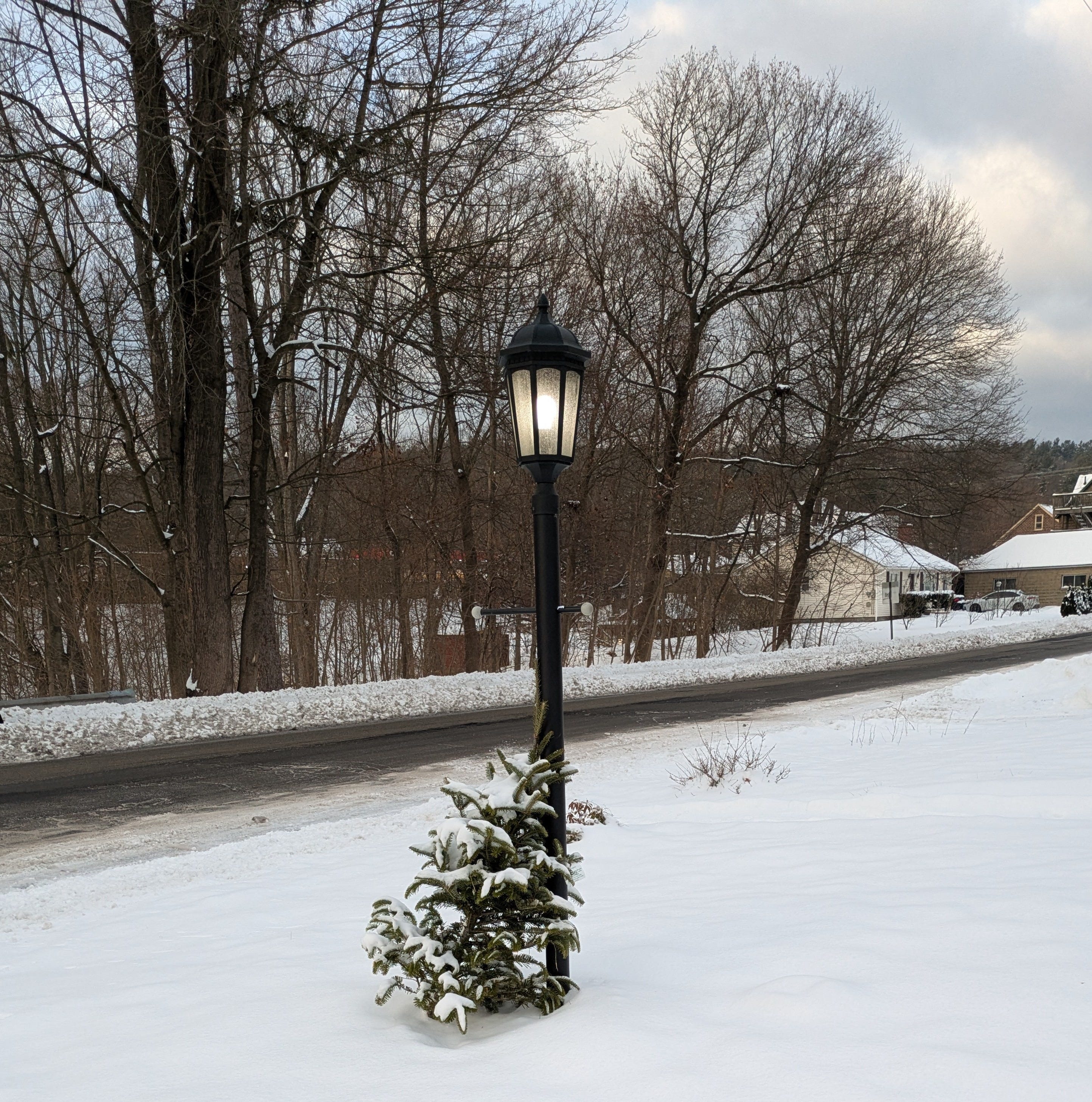 All Hope is Not Lost - Rachel’s Substack