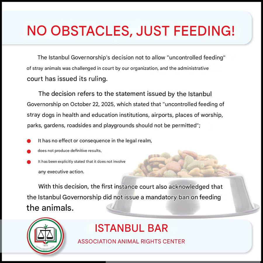 Istanbul Stray Animal Feeding Ban Overturned