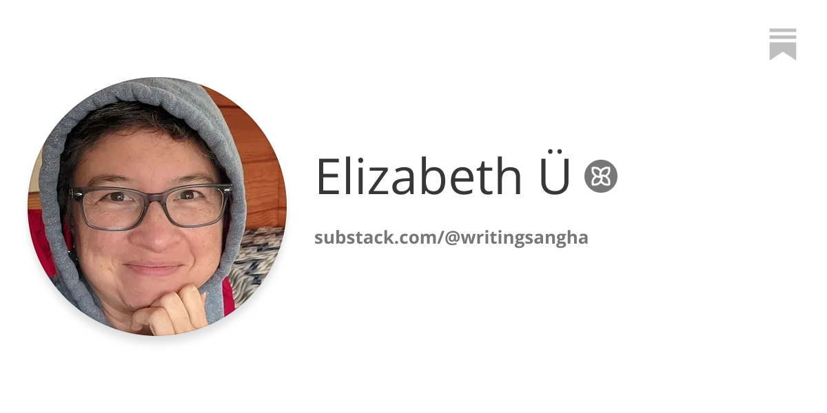 Elizabeth Ü | Substack