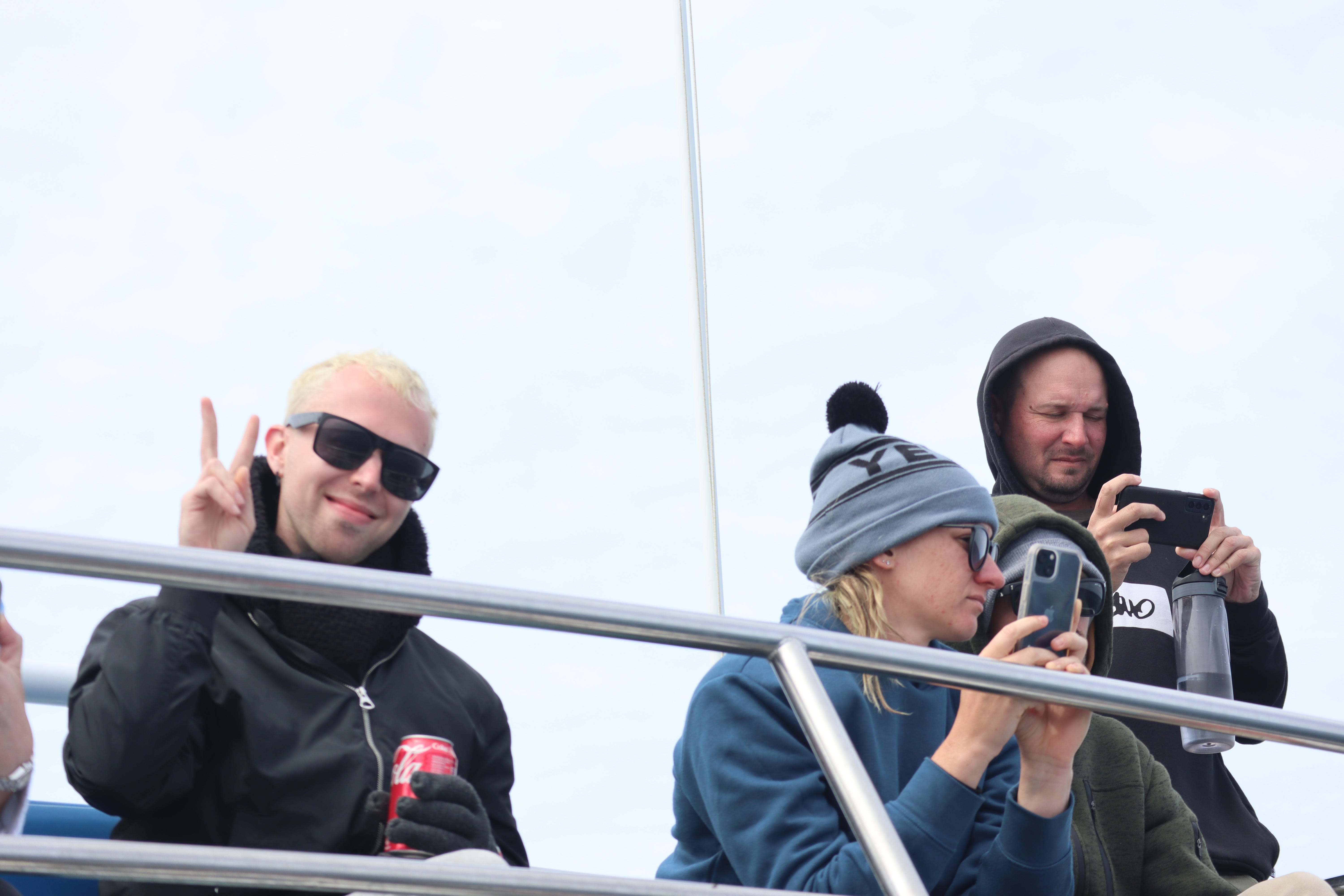 Shark cage diving with five Great Whites at Neptune Islands
