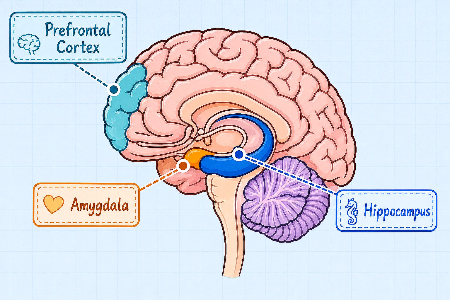 Rumination Isn’t a Character Flaw. It’s a Brain Pattern.