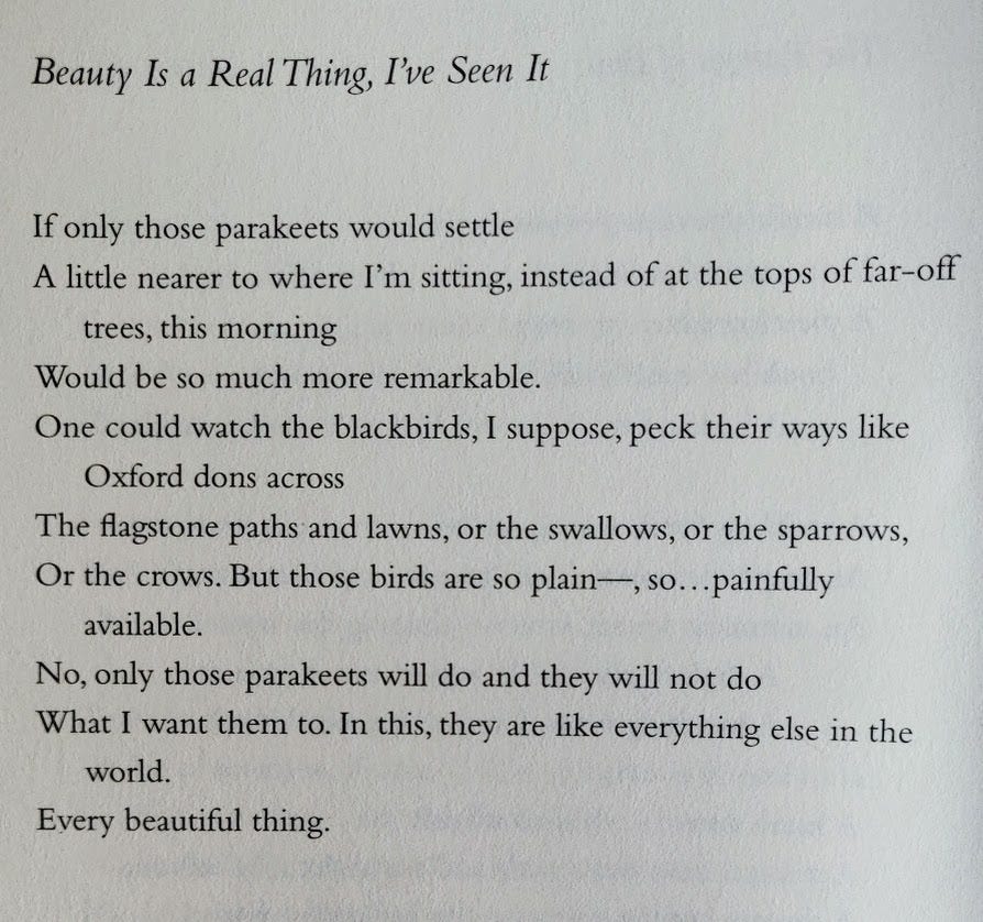 9 Poems for People Who Don't Like Poetry - by Sarah Allen