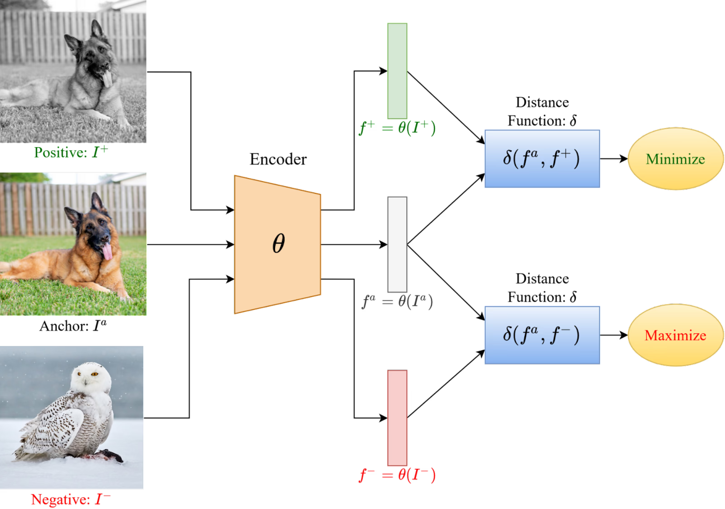 What exactly is a VLM (Vision-Language Model)?