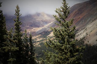 Cody Lefever | Substack