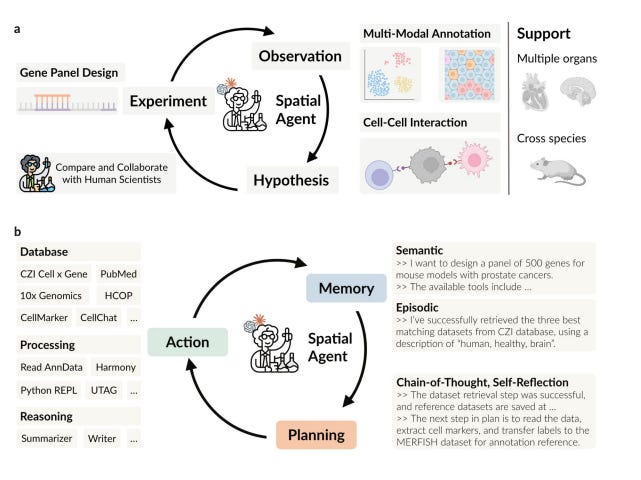 Genentech and Stanford Introduce SpatialAgent: An Autonomous AI Agent Revolutionizing Spatial ...