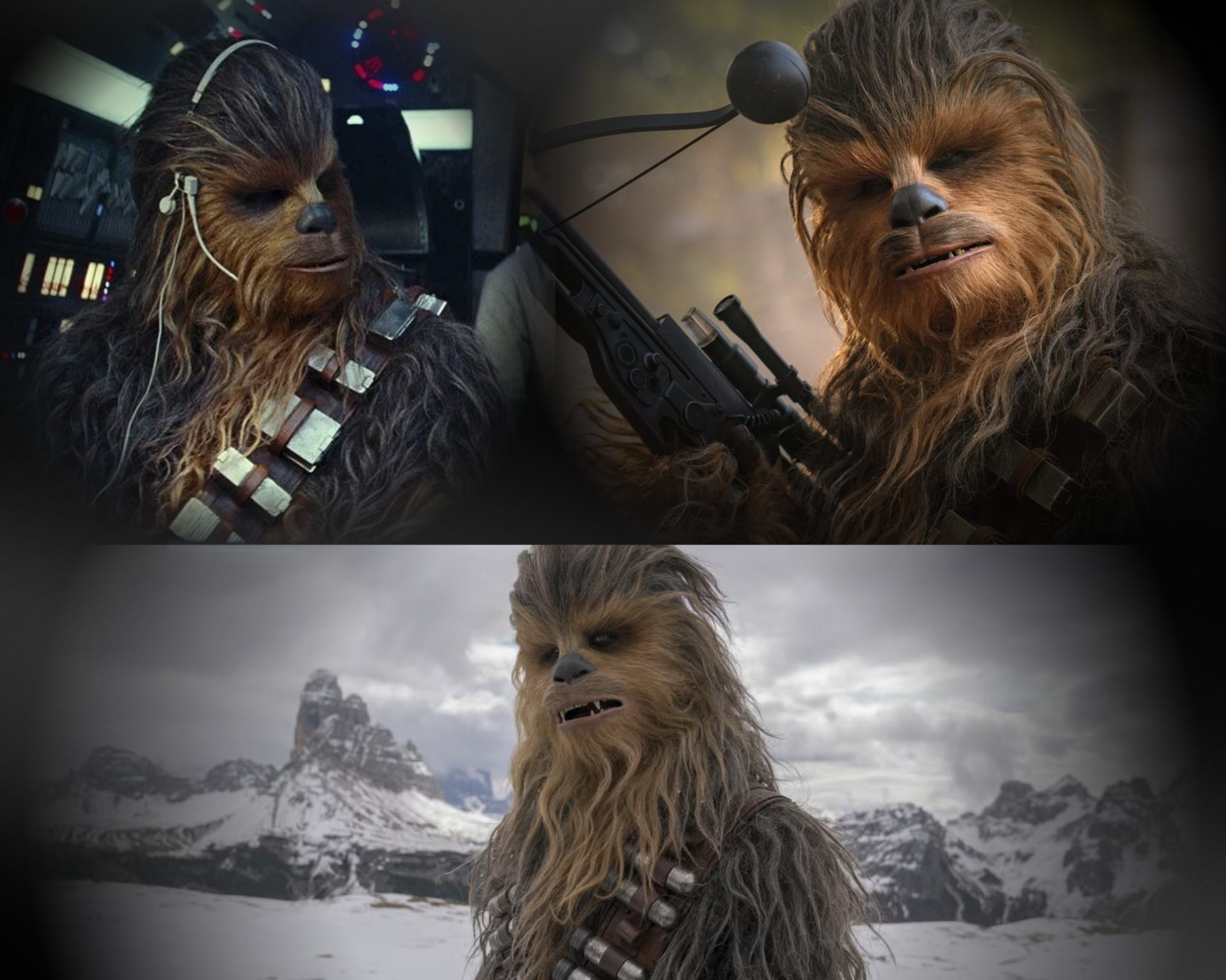 Everyone’s favorite Wookiee is ready for Life Day!