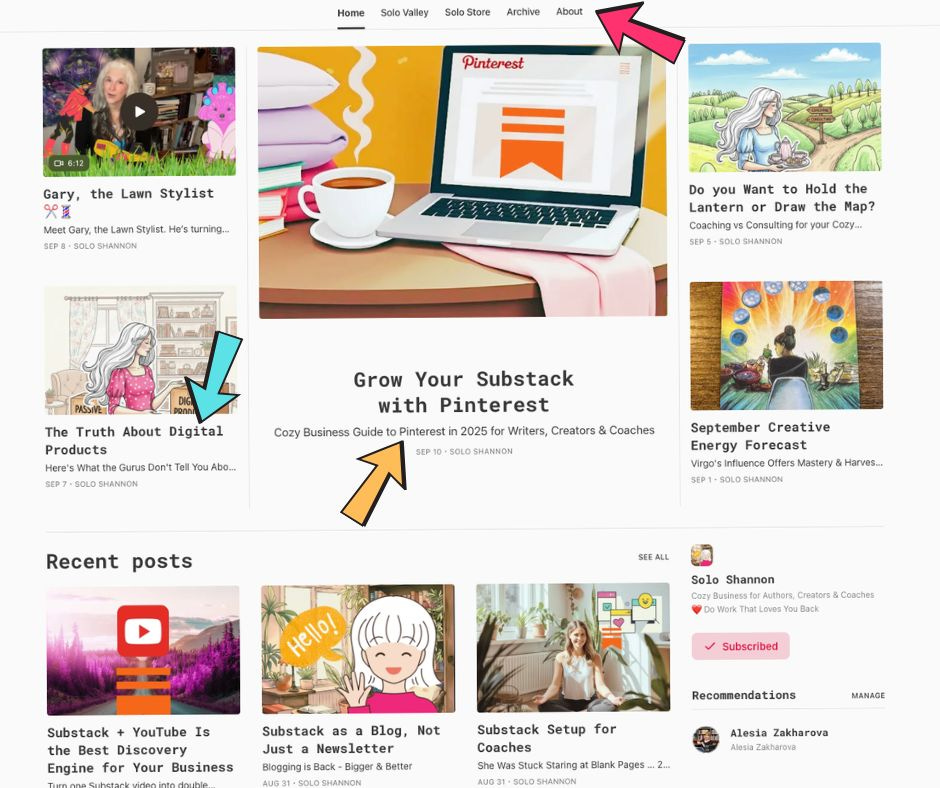 Understanding Substack - Solo Shannon