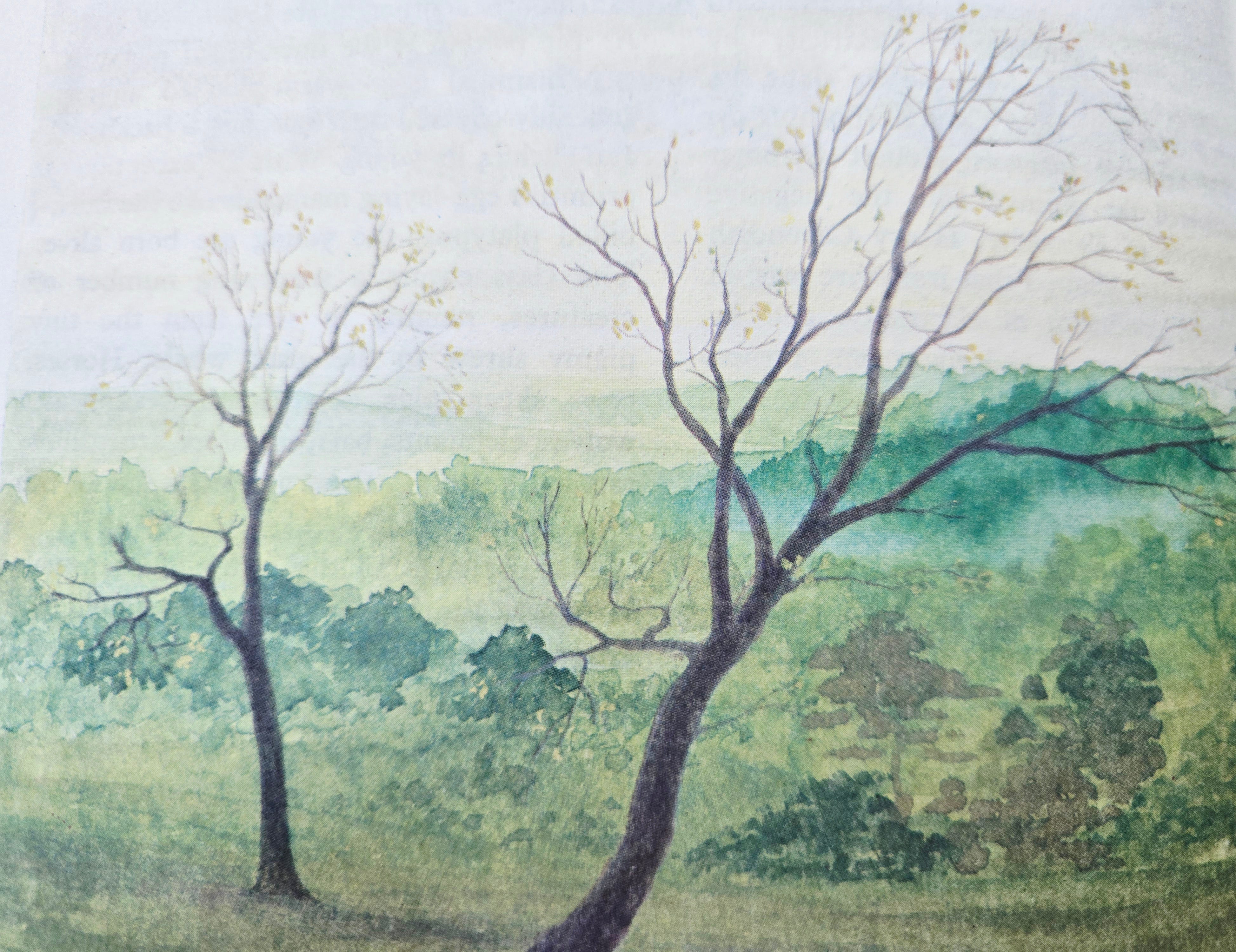 Autistic fairy tales: The legend of the great elf rebellion