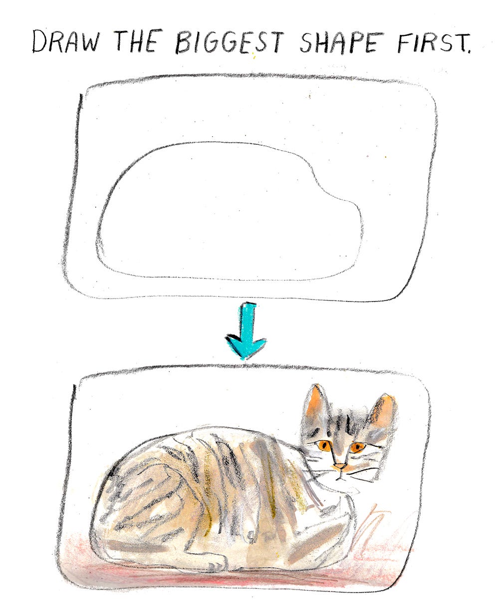 Three BIG tips for drawing cats - by Beth Spencer