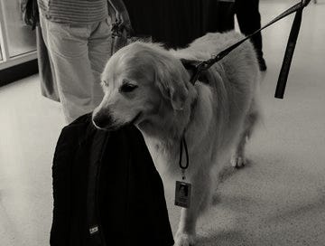 sneaker wave magazine | Substack