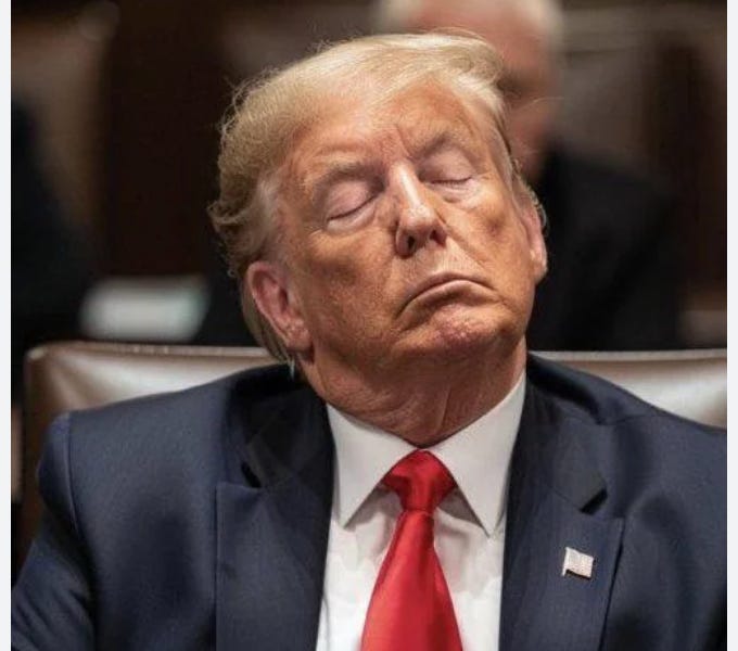 Another One Bites the Dust: Trump loses yet another defamation lawsuit