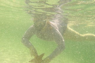 Ava’s Substack | Ava DuBoff | Substack