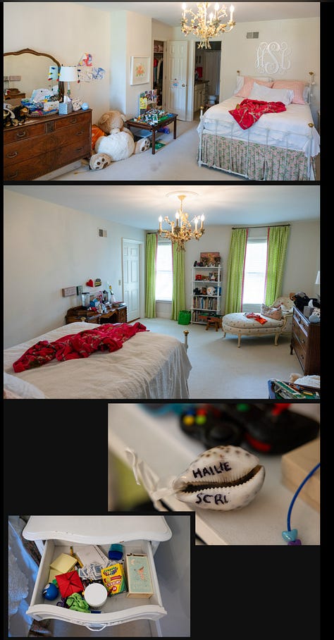 All the Empty Rooms - by Leona McCANN