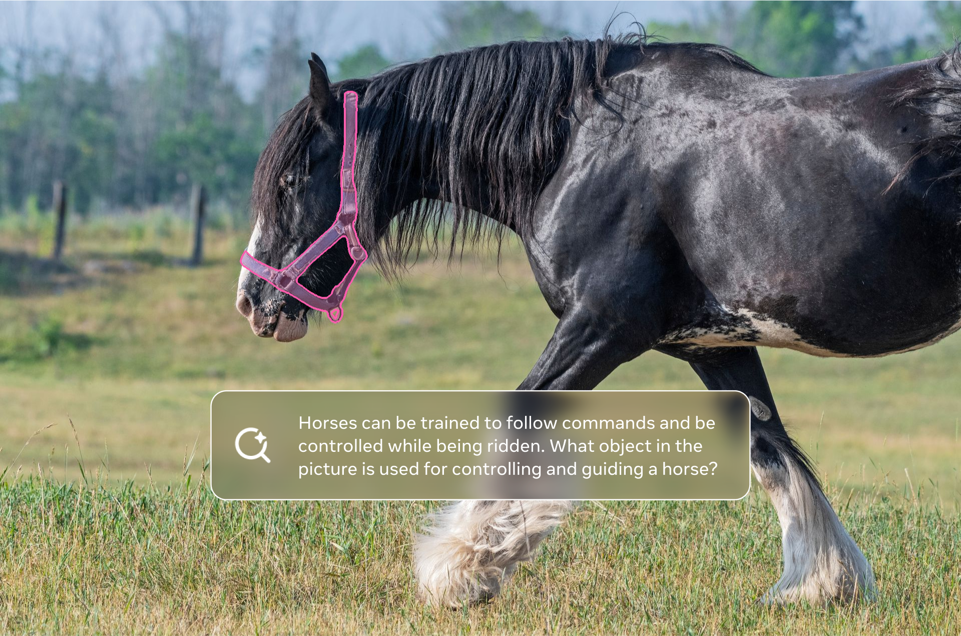 SAM 3: Segment Anything Model Explained - by Asad Iqbal