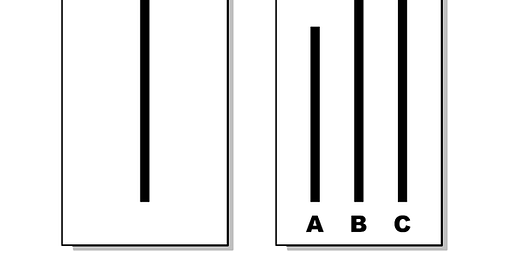 Cholla Express | Billy Robb | Substack