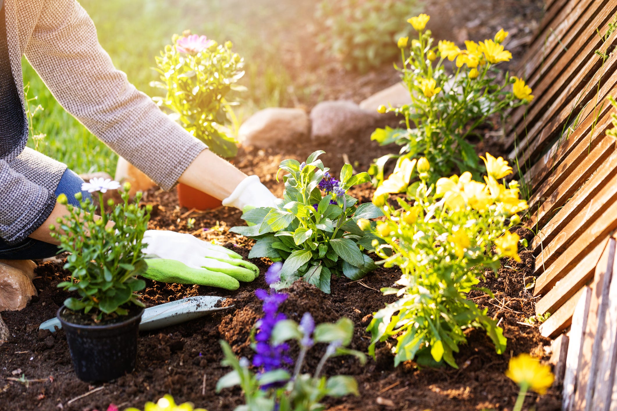 Before You Plant the Promise - Gina Birkemeier, LPC