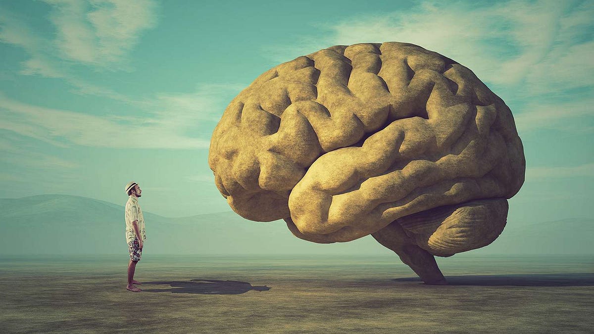 Comments - Seriously, what is a human being?