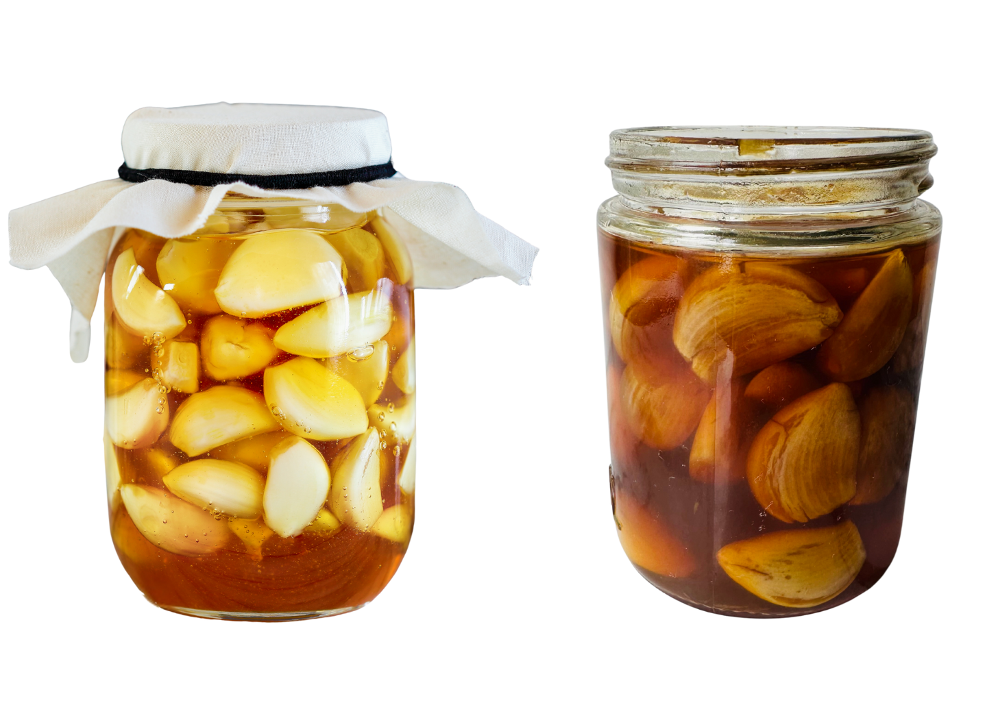 Science Corner - Fermented Honey Garlic - by Lisa McLean