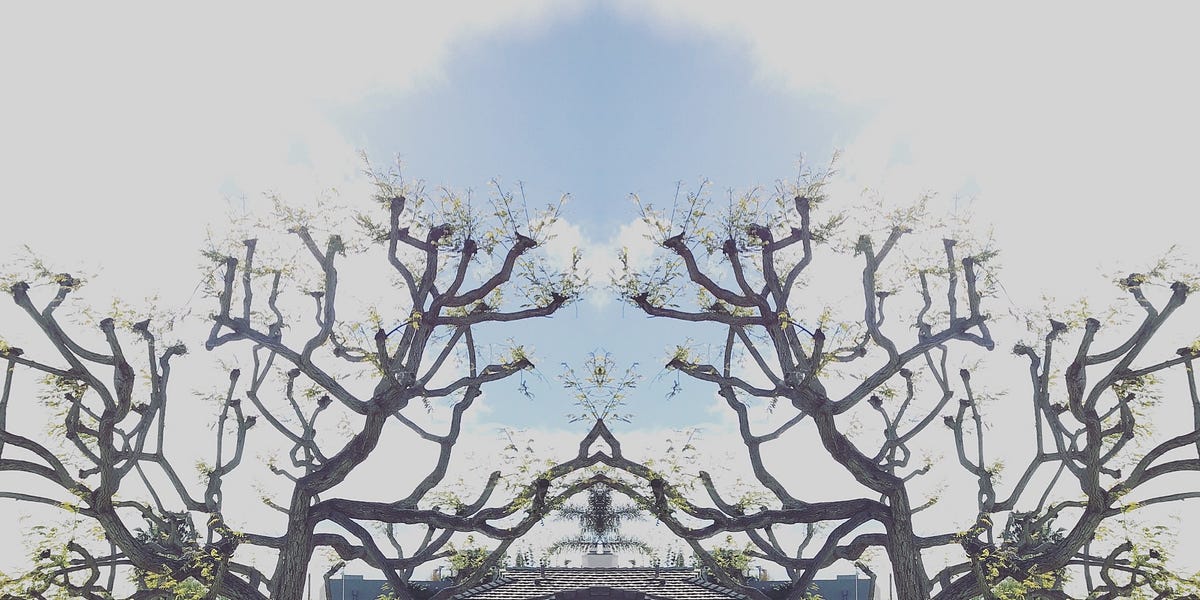 The Roots of Holding On: Why We Grip and the Wisdom in Letting Go