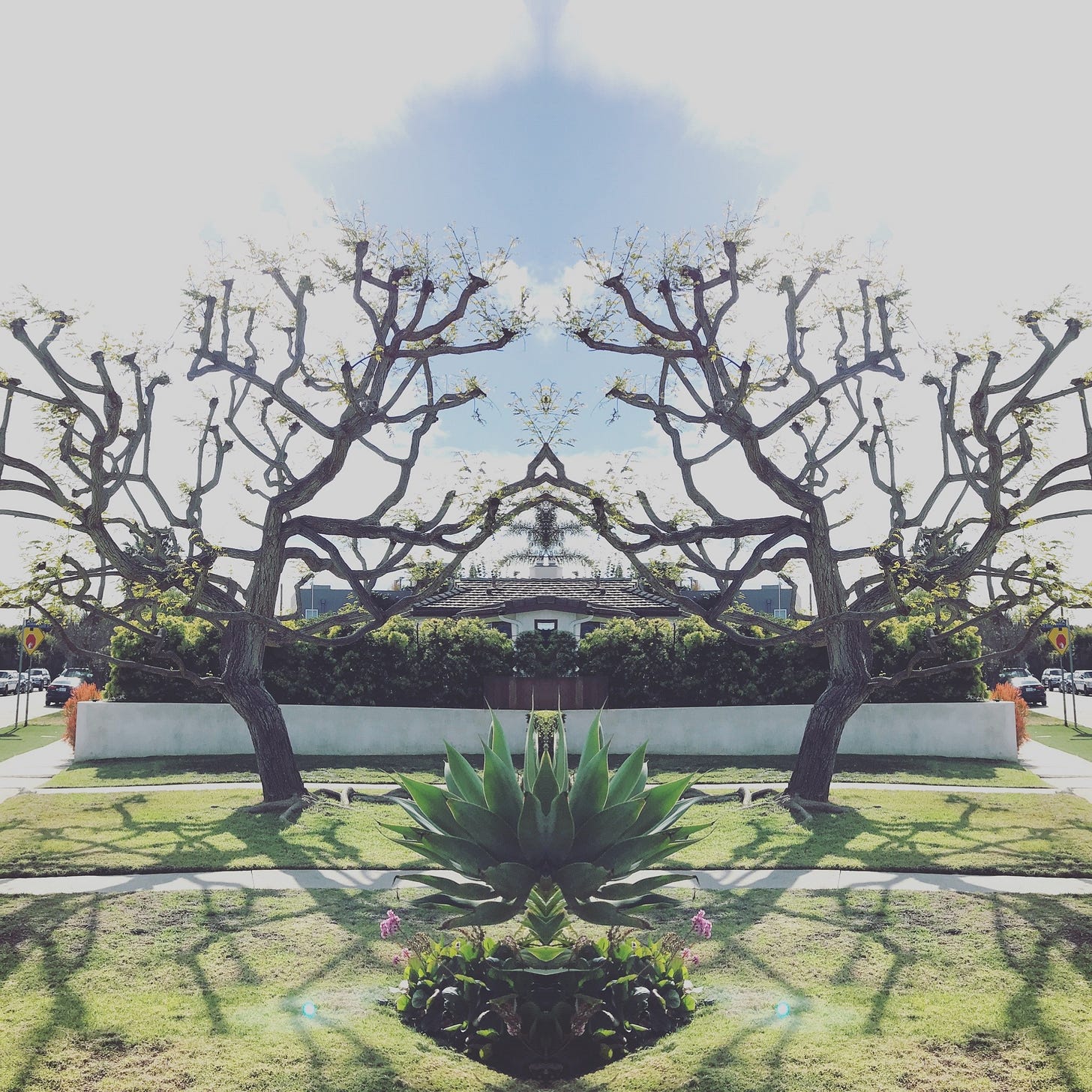The Roots of Holding On: Why We Grip and the Wisdom in Letting Go