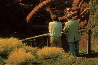 The Archive In Between | Substack