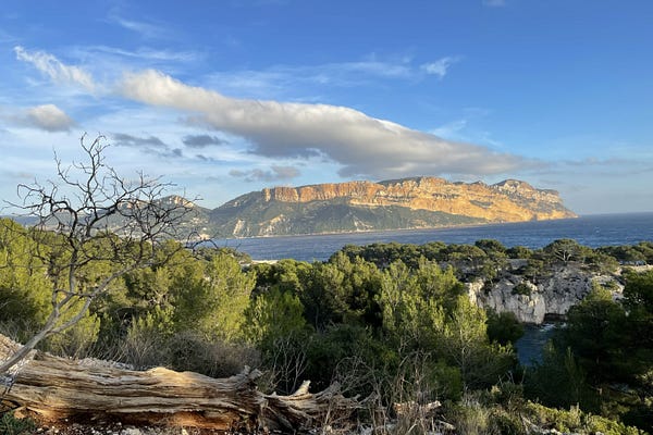 Audacious Women, Creative Lives | Anne Boyd | Substack