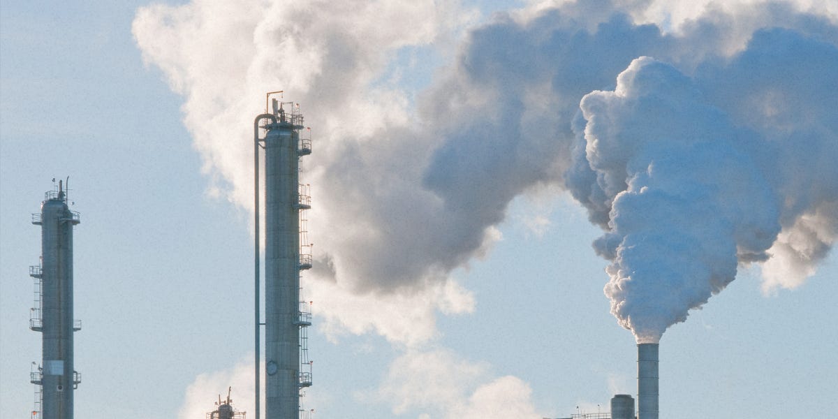 MCJ's Investment in Mantel Capture - MCJ Newsletter