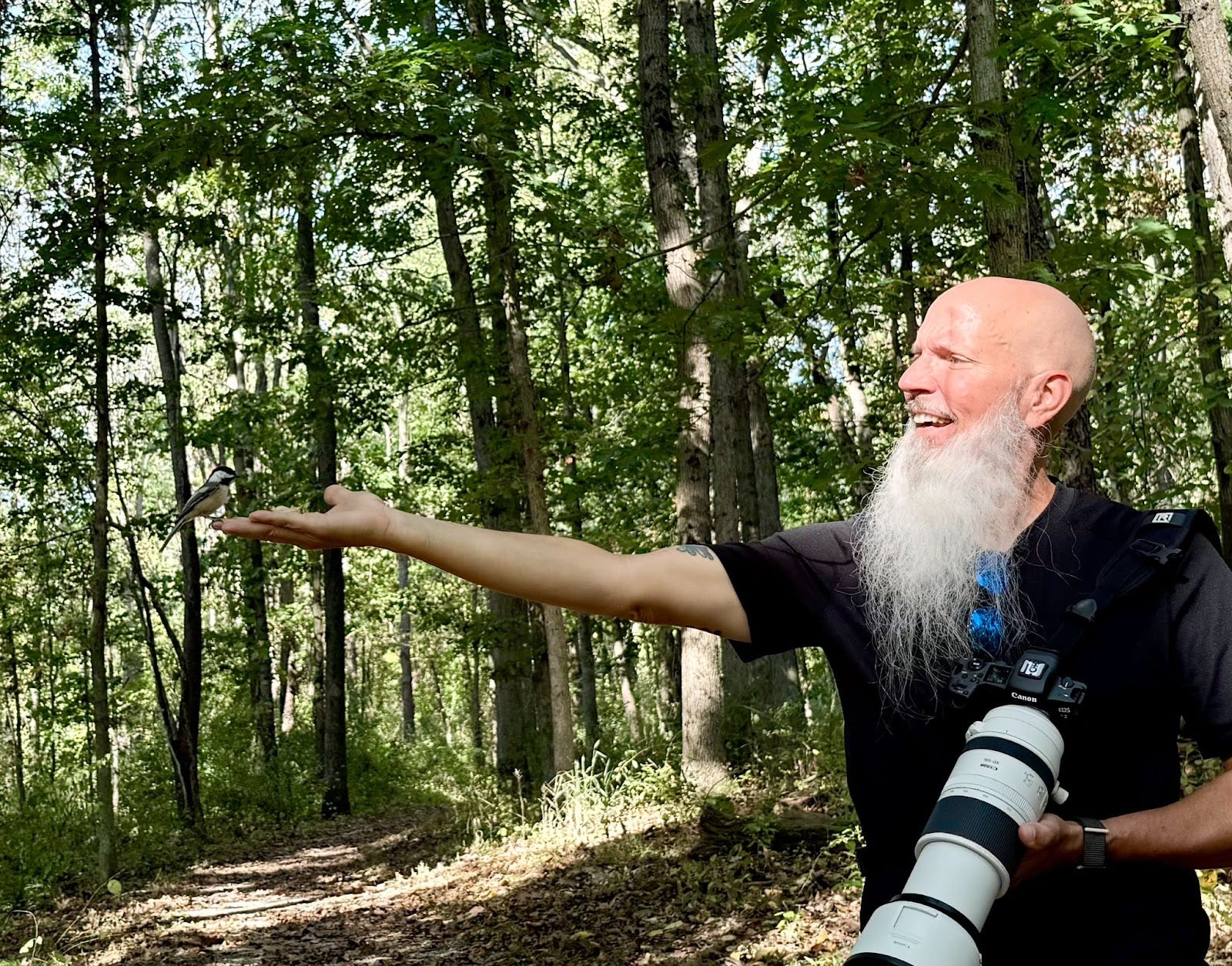 The Birdseed Spell - by Brenda Marshall - Life In Michigan