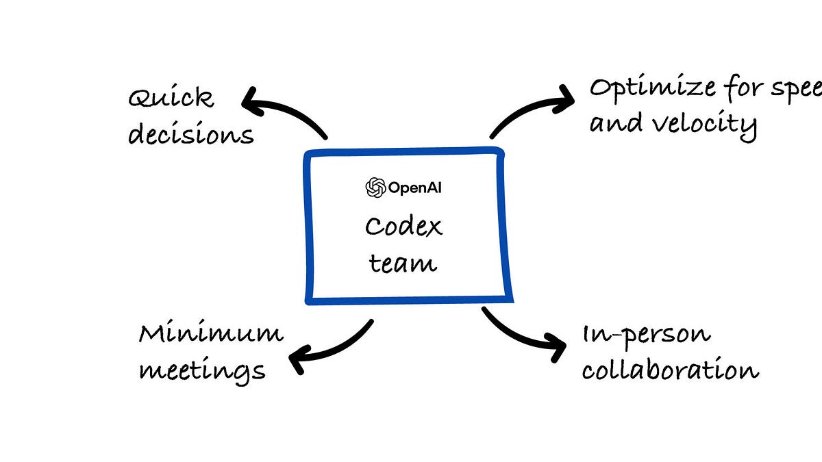 How OpenAI's Codex Team Works and Leverages AI