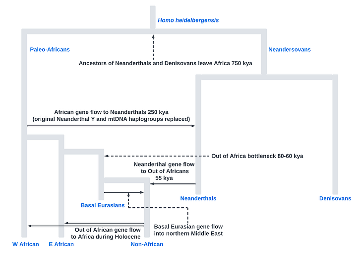 replacement theory neanderthals