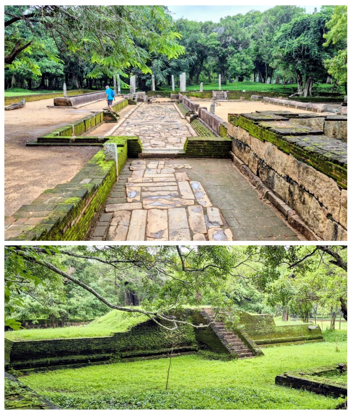 Sri Lanka: A multitude of elephants and Buddhas.