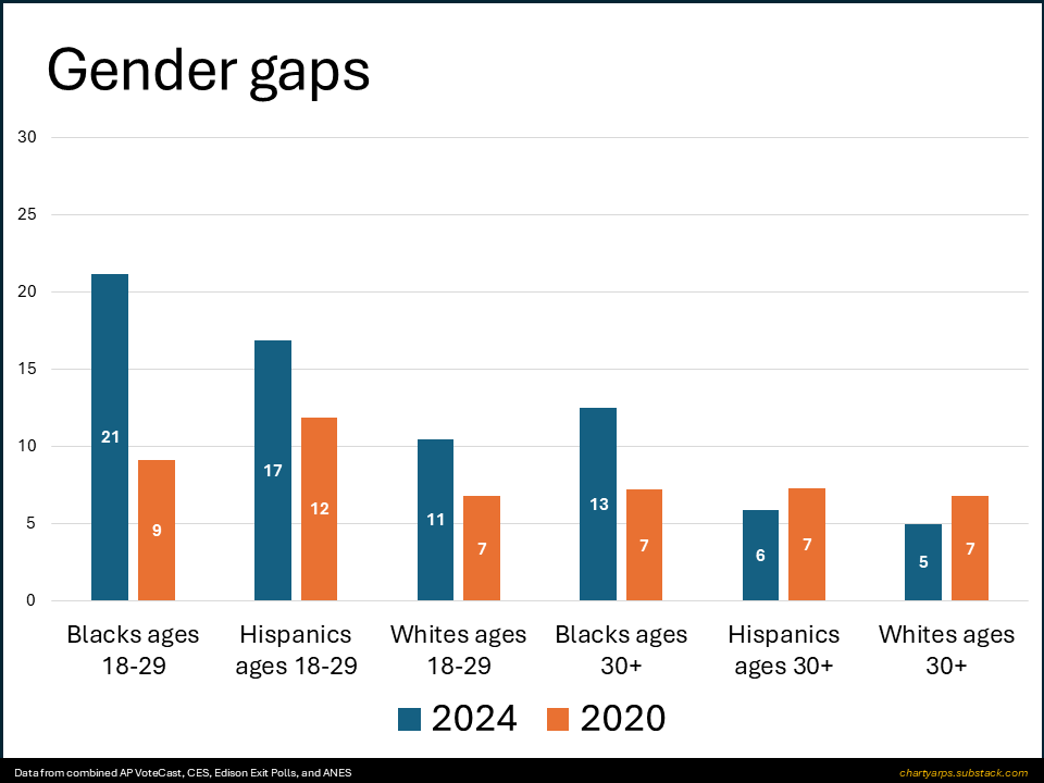 Age, race, and gender in the 2024 and 2020 presidential elections