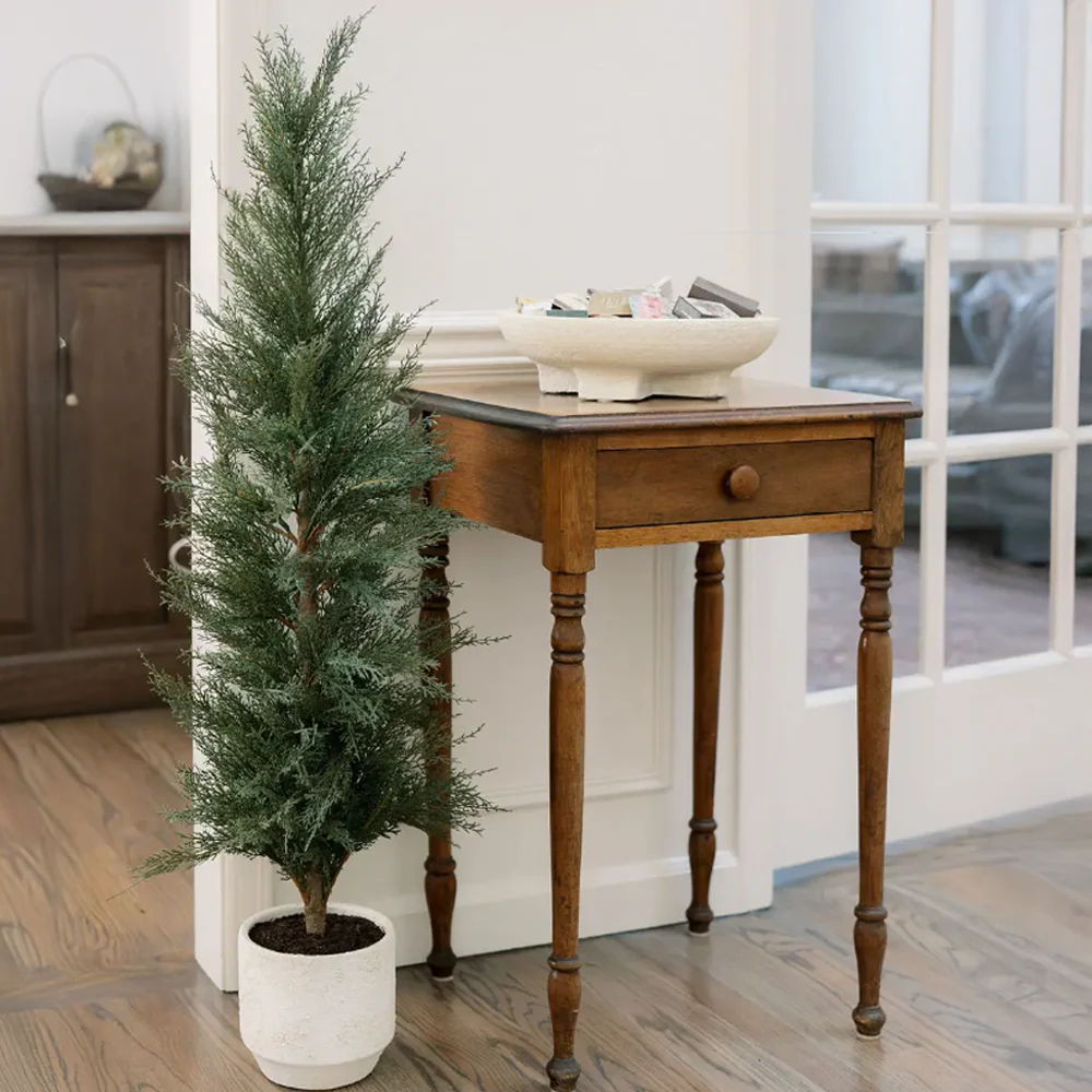 The 2026 Trend That Changes Everything: Greenery as Essential Design