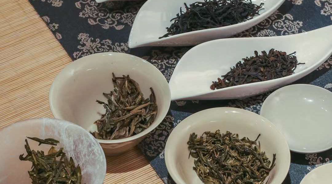 Tea 101: The Six Categories and the Role of Oxidation