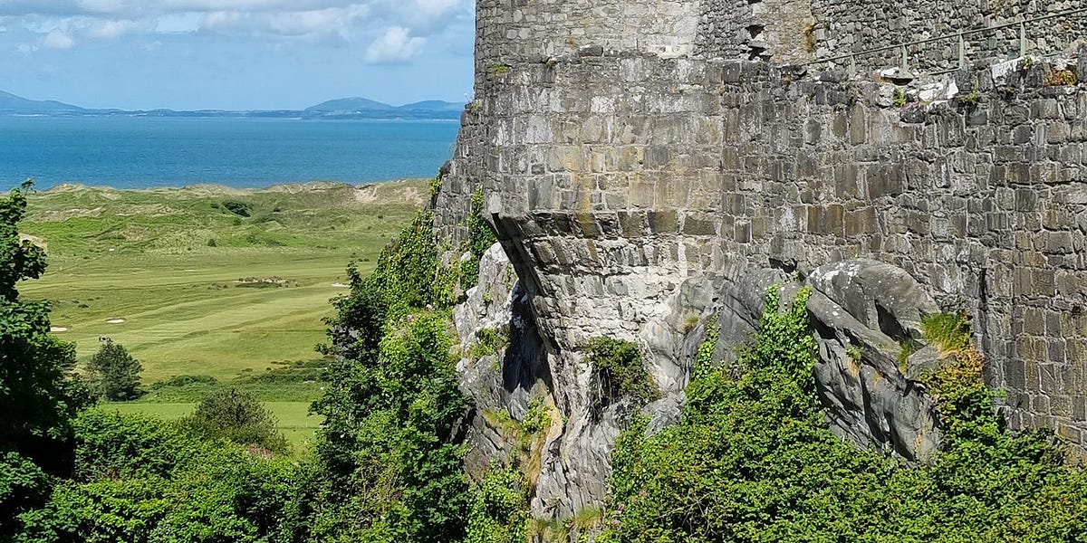 The Fall of Harlech: The Rebel Tudor Earl and the Yorkist Masterlock