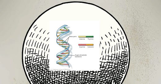 sebjenseb | Sebastian Jensen | Substack