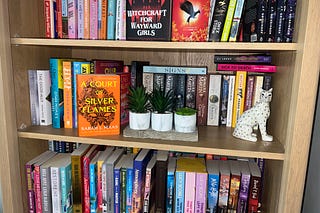 The Bookish Drop | Substack