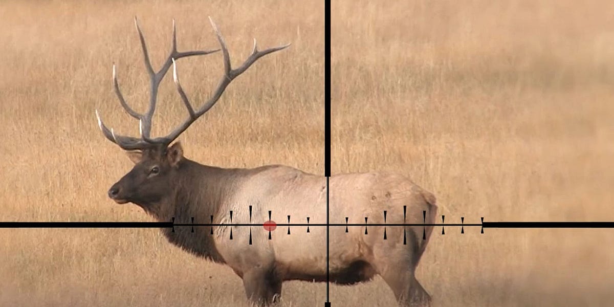 Why is hunting as a sport perfectly legal, but animal abuse is not?