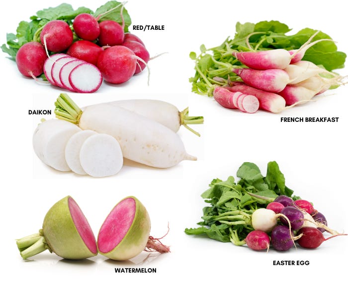 red radish benefits
