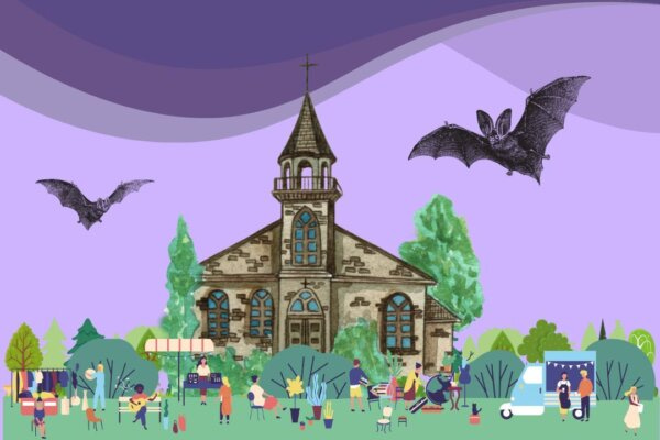 Bat Conservation Trust | Substack