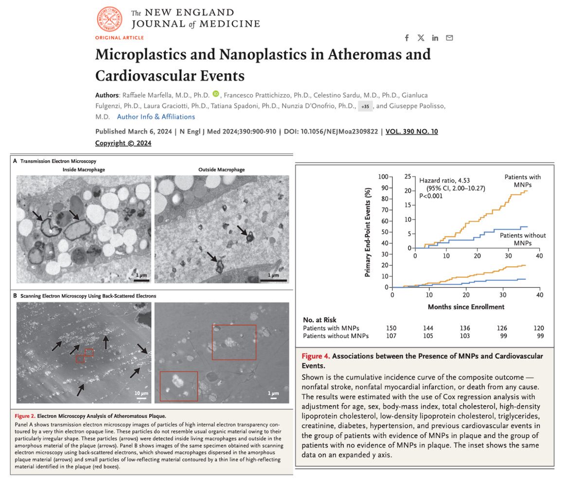 Evidence of Microplastics in Humans