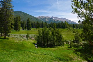 Dave Barry’s Substack | Substack